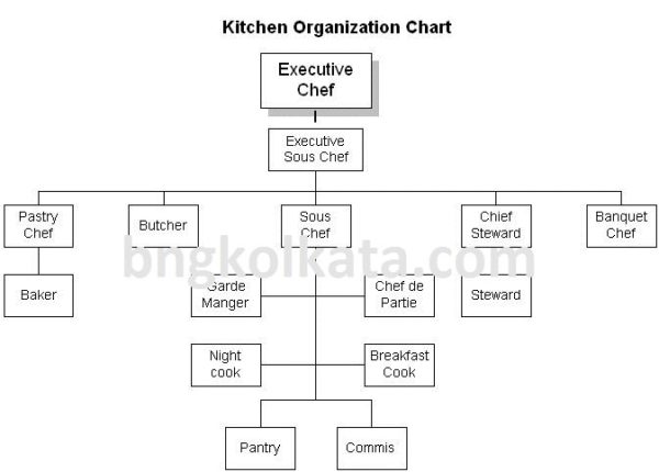Kitchen Organization – BNG Hotel Management Institute