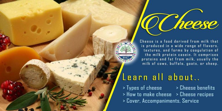 cheese meaning – BNG Hotel Management Institute